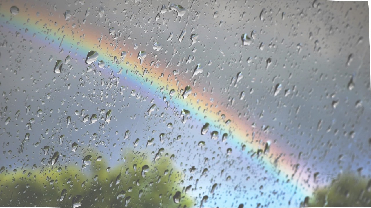 梅雨の時期におススメの食べ物を紹介します - ストレッチ素材専門アパレルメーカー | 名和株式会社ストレッチ素材専門アパレルメーカー | 名和株式会社